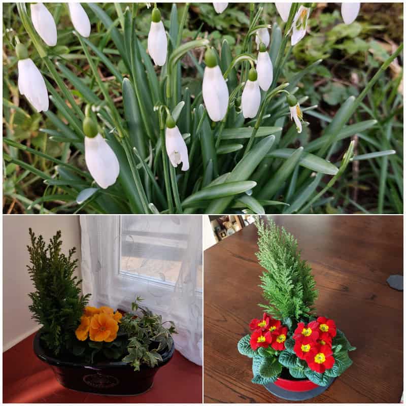 The Monthly Plot Twist: February - Jackie Keswick